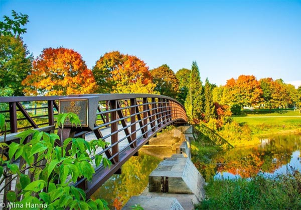 Lord Cultural Resources